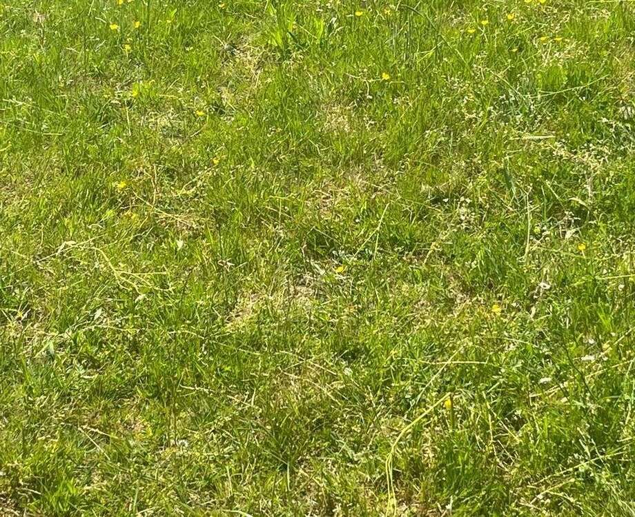 Grundstück in Feldatal 25.150,00 € 5030 m² in Feldatal - 137714251 | 1A ...