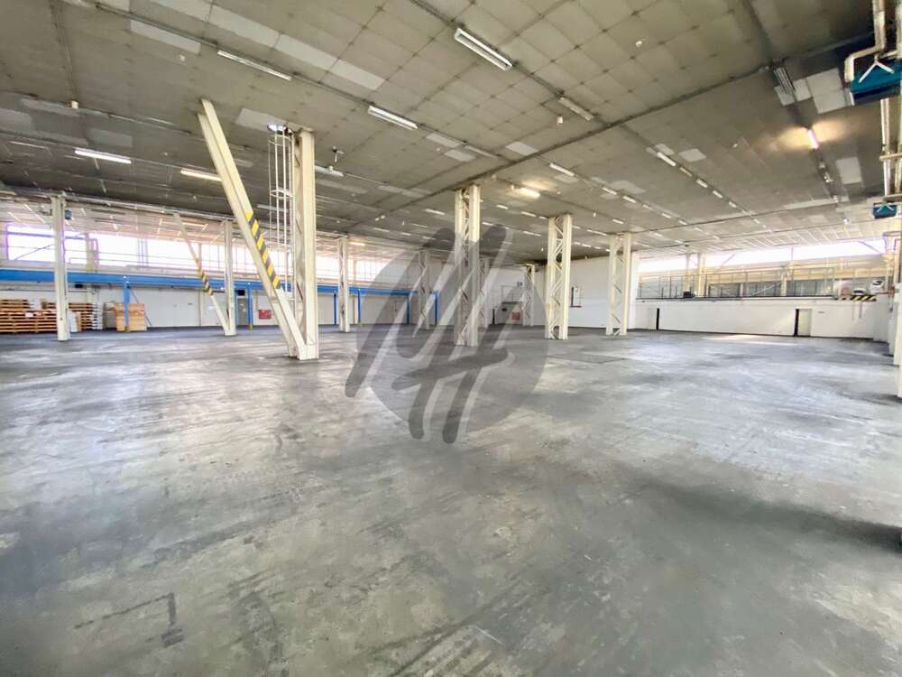 Halle in Maintal 5600 m² in Maintal - 155728015 | 1A-Immobilienmarkt.de