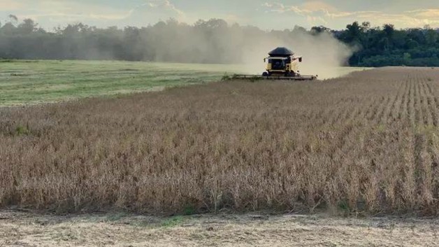 Grosse Soja Farm 2210 Hektar zum Verkauf in Brasilien in Tome-Acu ...