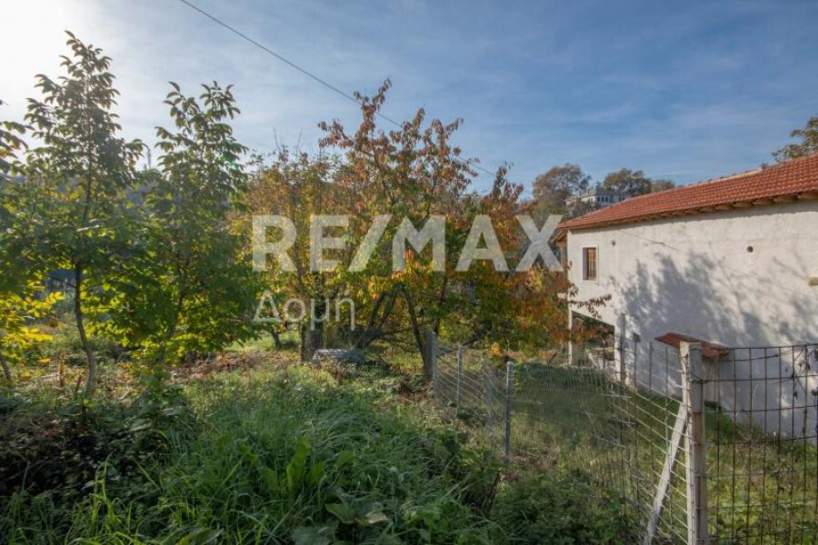 Grundstück Land Kaufen,, Portaria (Pilio), in - 320_141447 | 1A ...